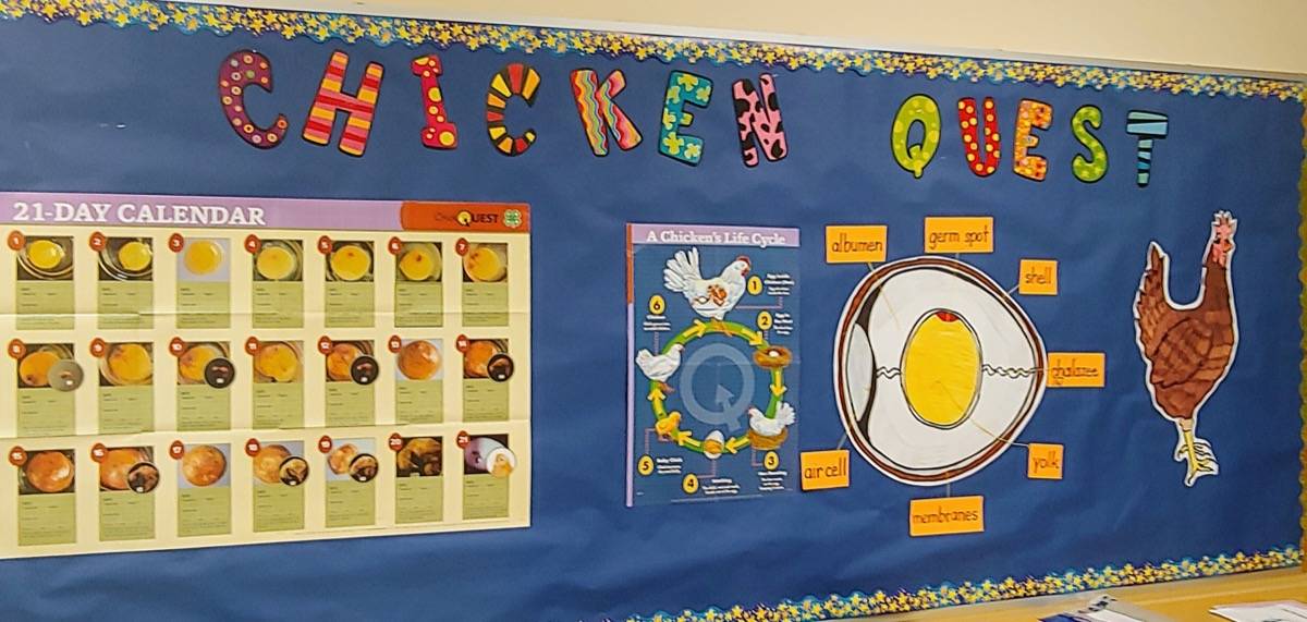 Leawood's life cycles — GrowNextGen