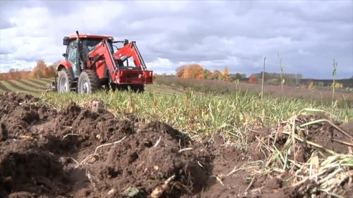 Entomology research (Amy & Kelly) — GrowNextGen