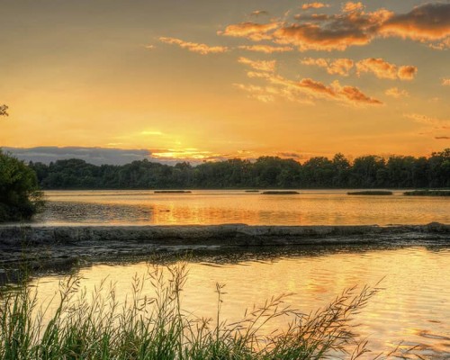 Watersheds, wetlands and water quality data analysis — GrowNextGen