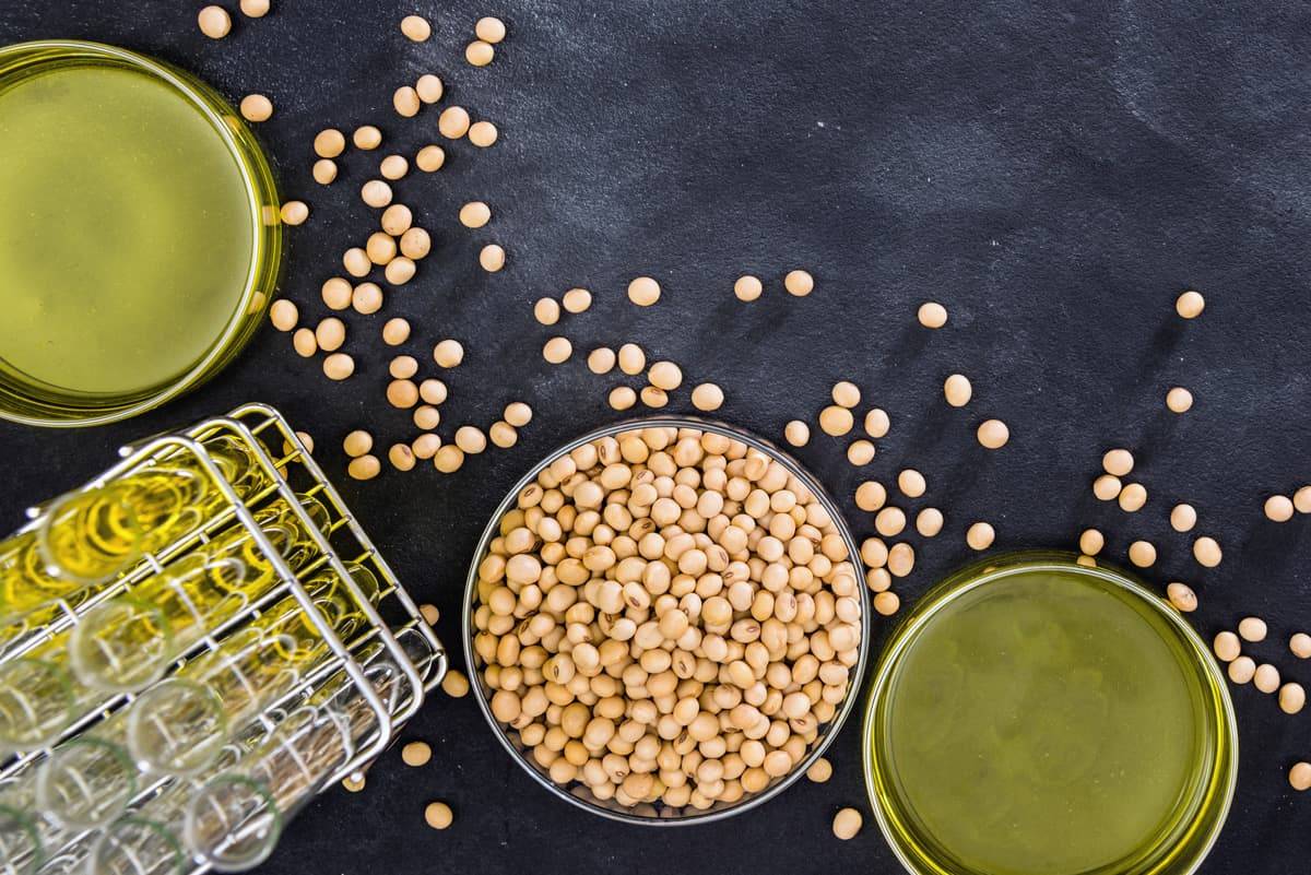 Soybeans as a chemical feedstock — GrowNextGen