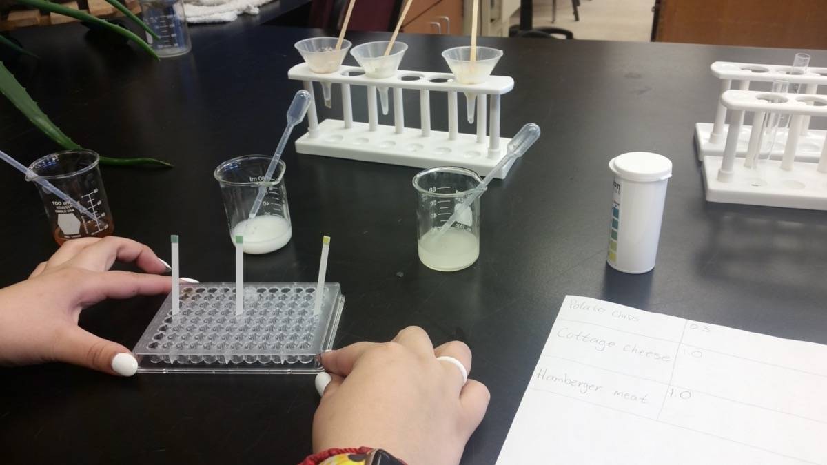 Let's test a potato chip! — GrowNextGen