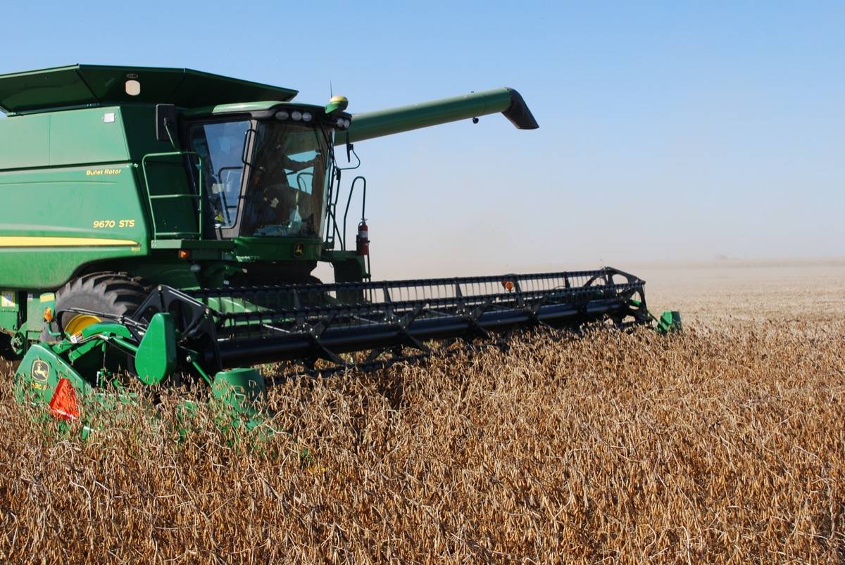 Quality U.S. Soyfood Beans: Ohio Food-Grade Soybean Harvest Progressing ...