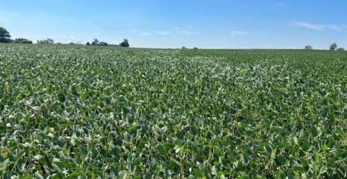 Sensory testing of foods — GrowNextGen