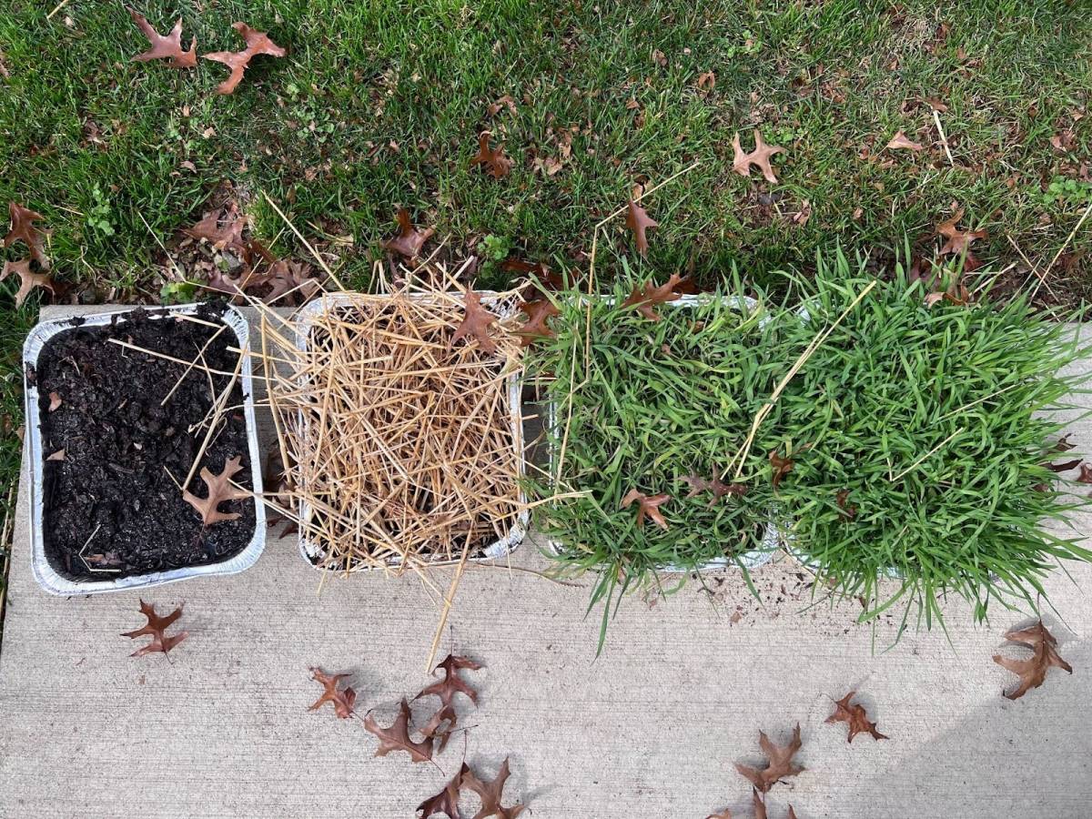 Testing Soil Erosion — GrowNextGen