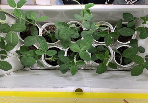 Get your classroom science experiments published on our website ...